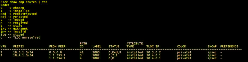 Cisco SD-WAN Series Part 4 – Overlay Management Protocol (OMP)