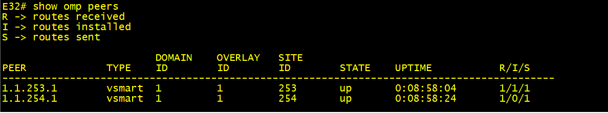 Cisco SD-WAN Series Part 4 – Overlay Management Protocol (OMP)